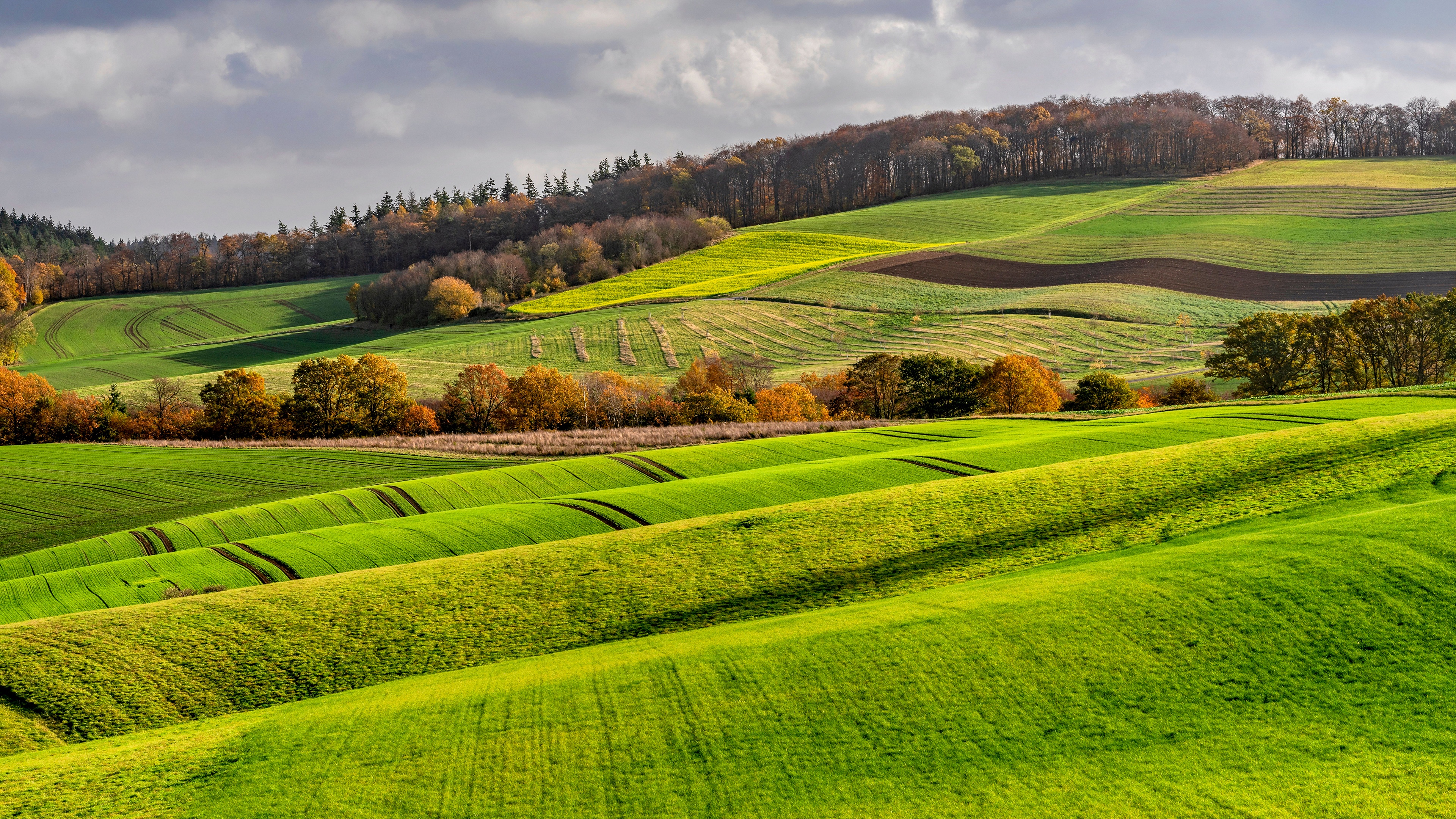 Beautiful green pastures in germany · 1920x1080 Full HD free photo from ...