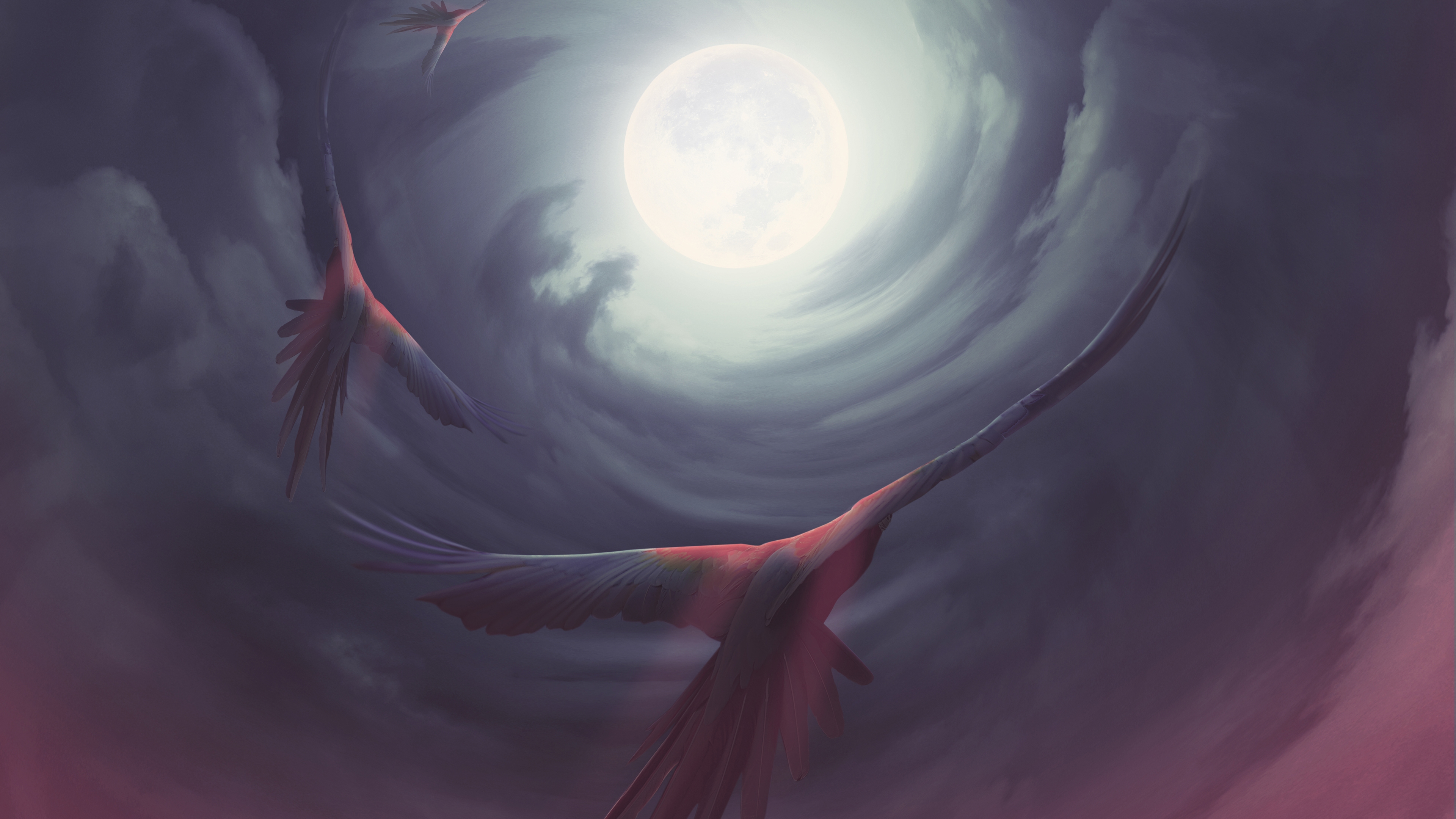 Wallpapers wallpaper moonlight birds clouds sky artwork from arashilkis ...