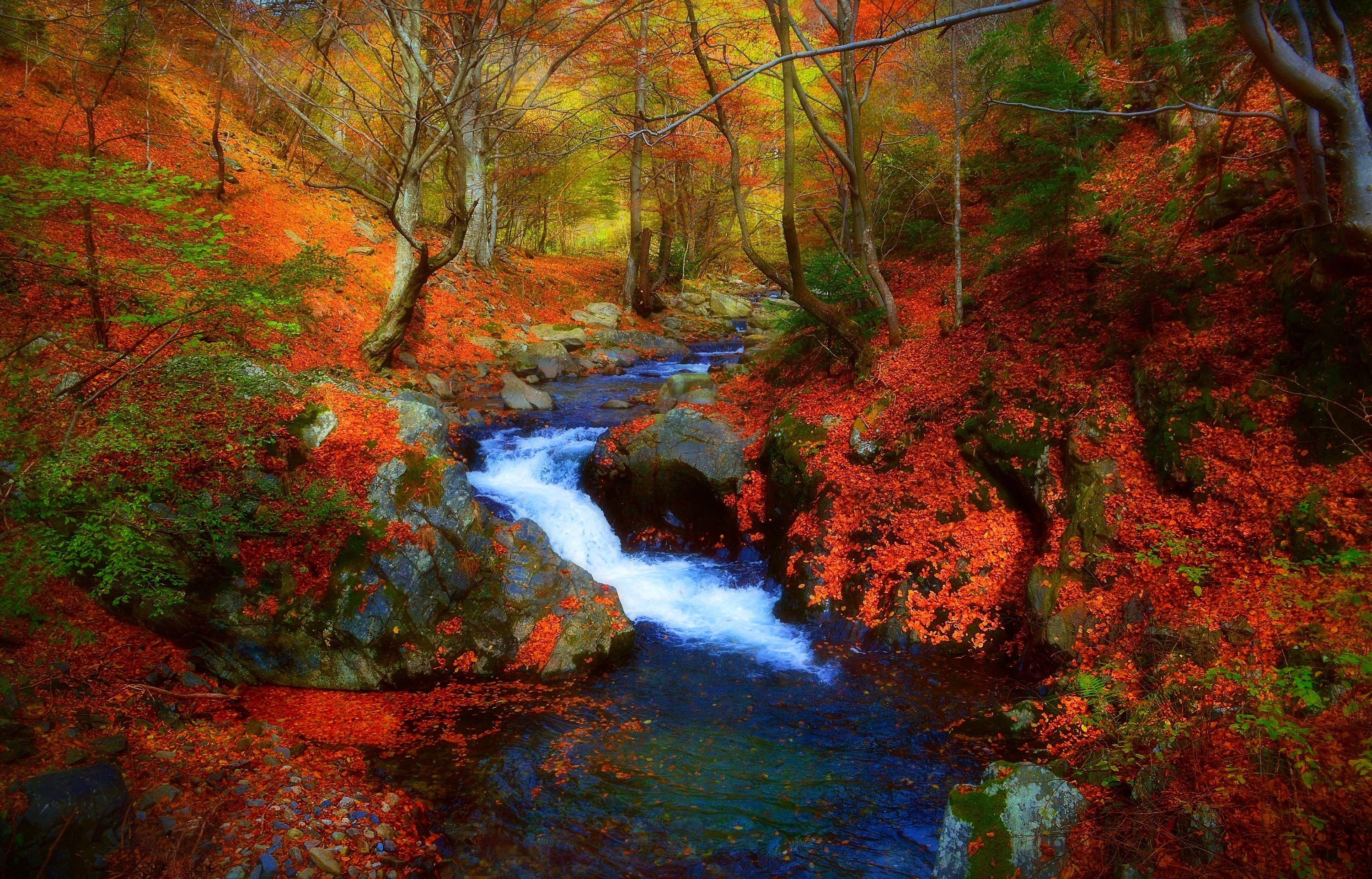 Wallpapers magical river autumn autumn colors 512x512 from photomonstr ...