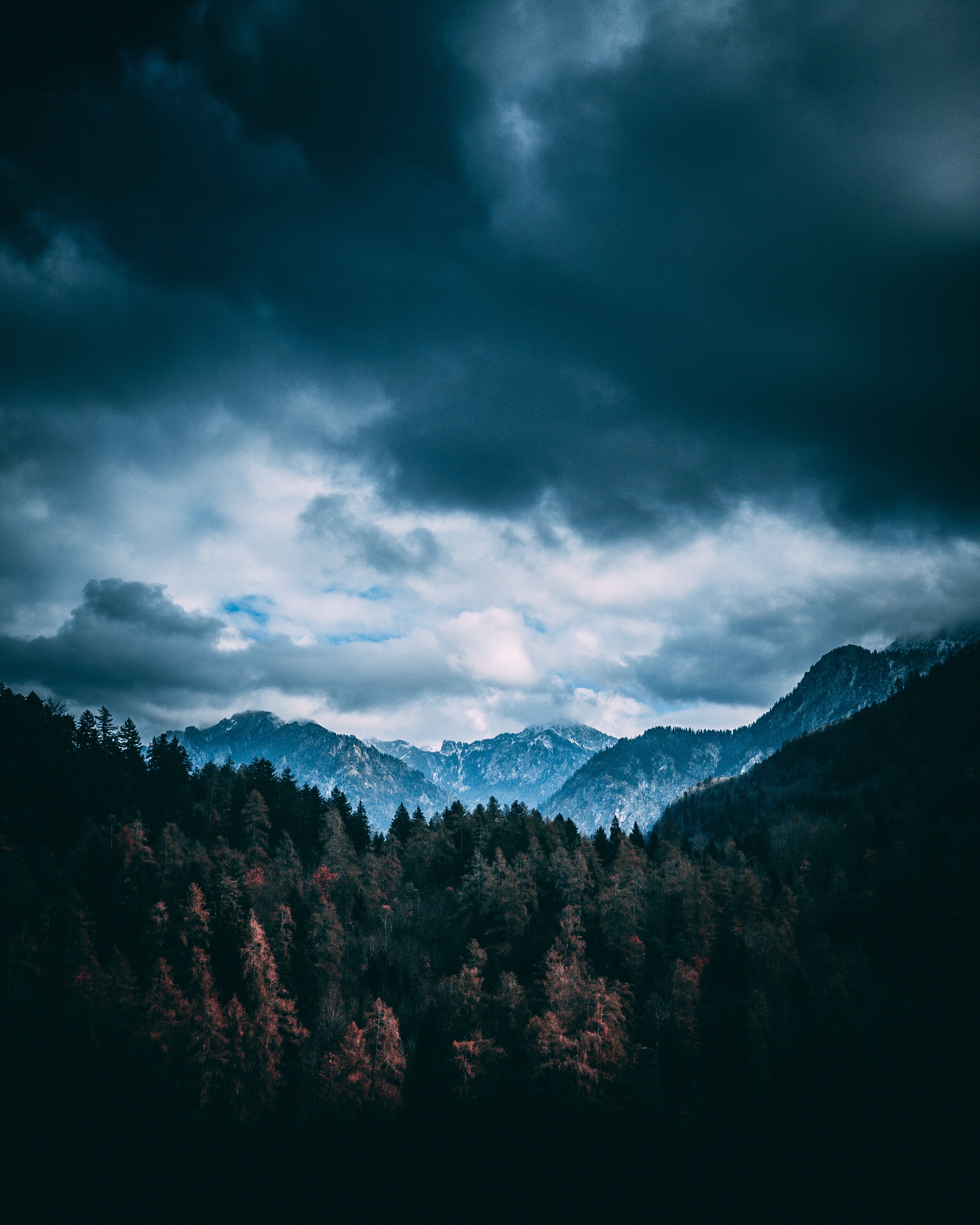 Mountains and forests · 2560x1440 QHD & WQHD (16:9) free photo from ...