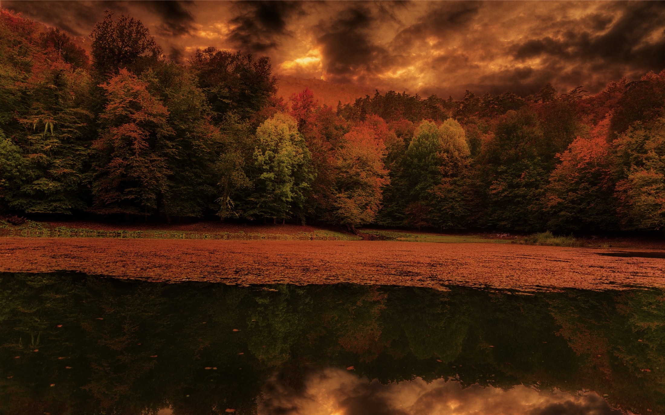 fall evening reflection sun light leaves 1366x768 wallpapers from ...