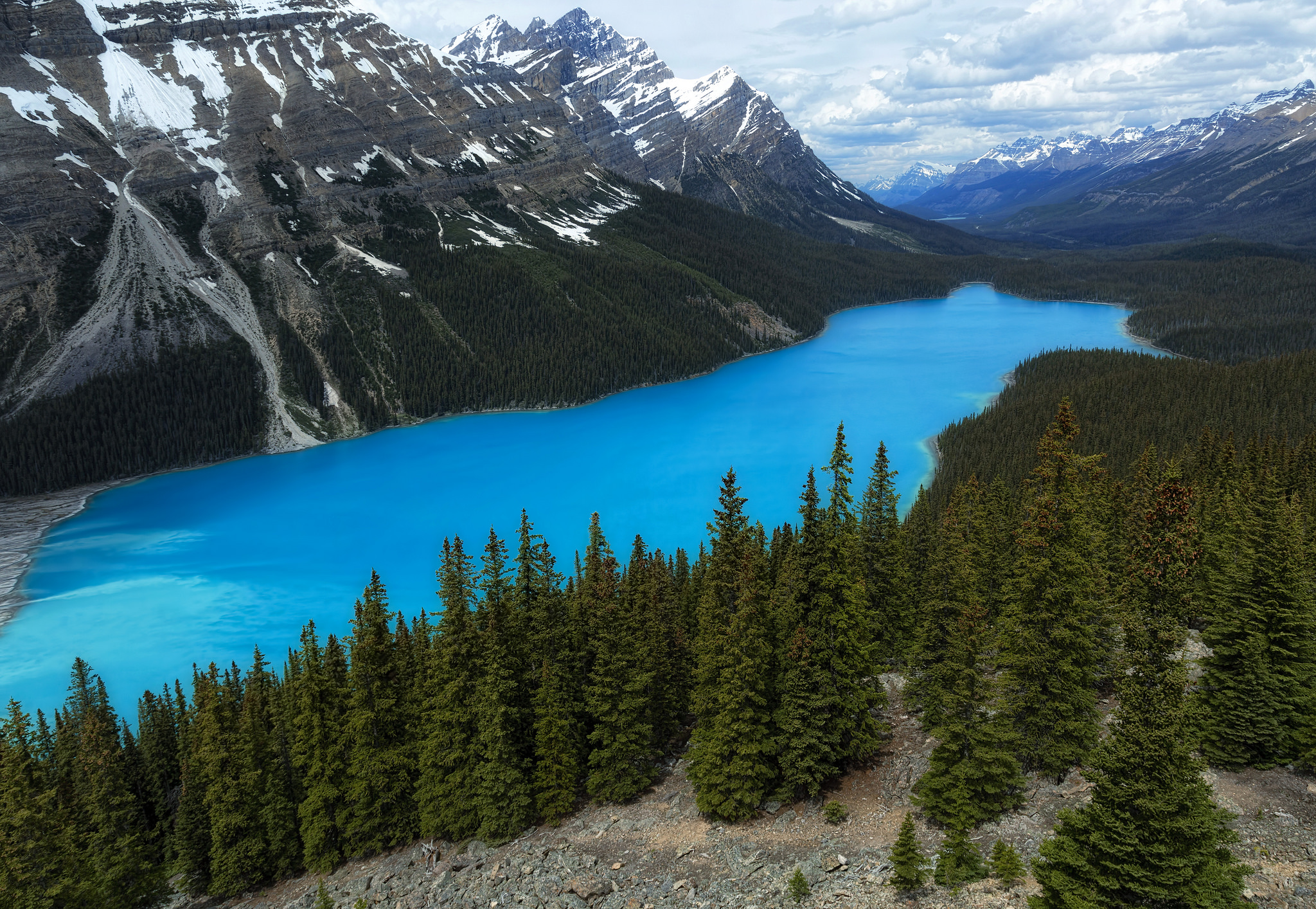 Wallpapers Alberta forest trees 1920x1080 Full HD from photomonstr ...