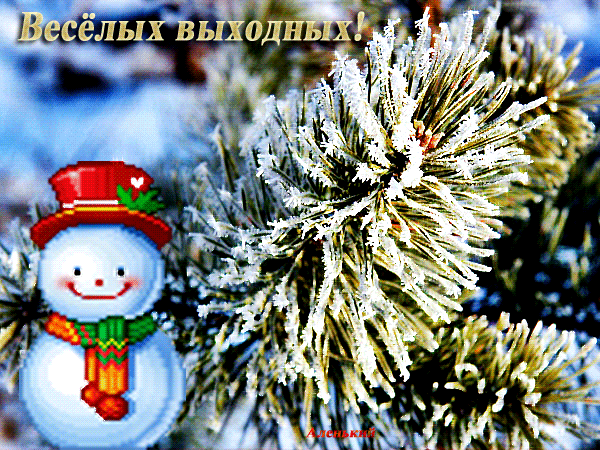 Postcard have a nice winter weekend have a nice winter weekend pictures ...