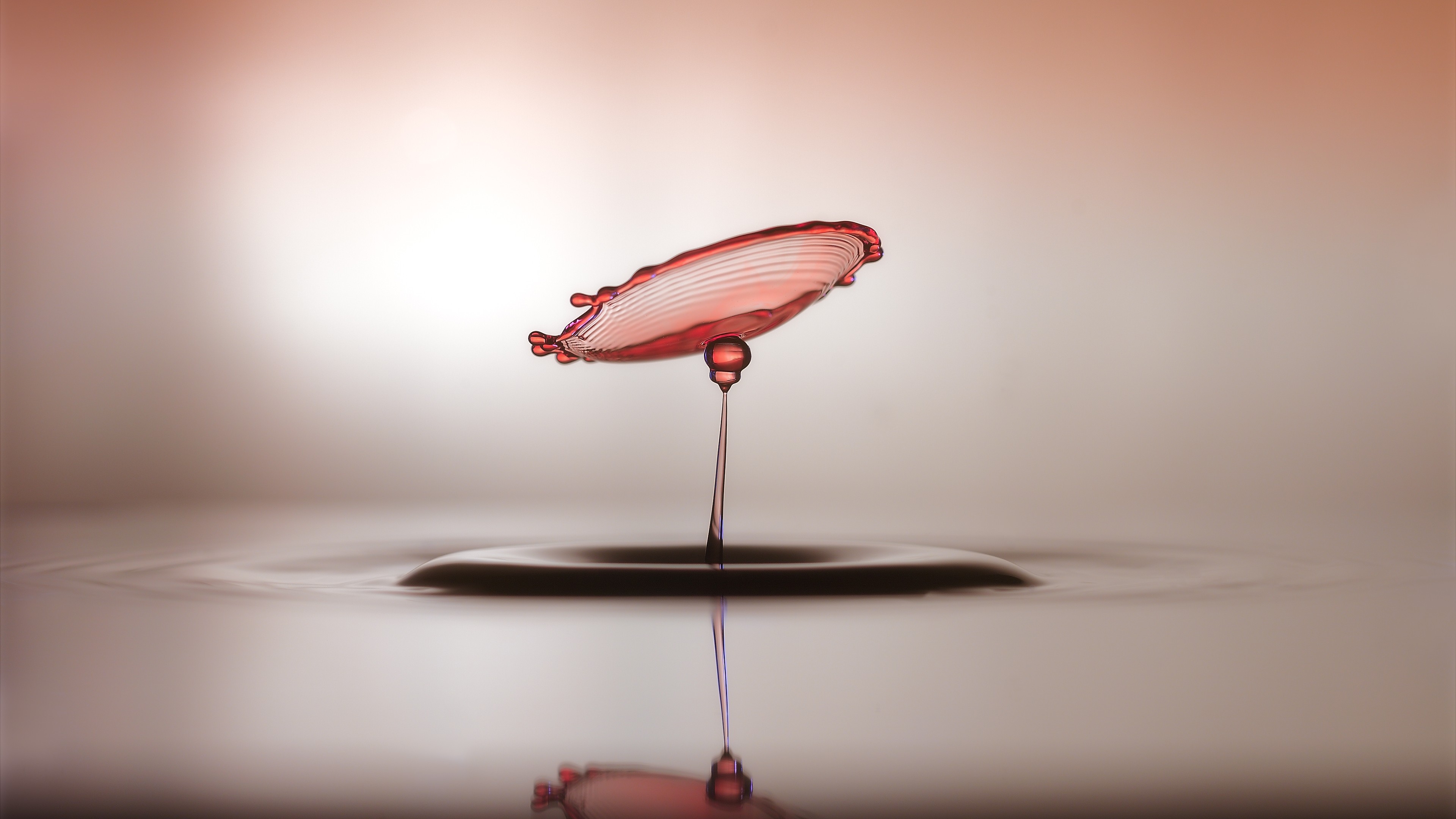 Wallpapers wallpaper water drop fall splash 2560x1440 QHD & WQHD (16:9 ...