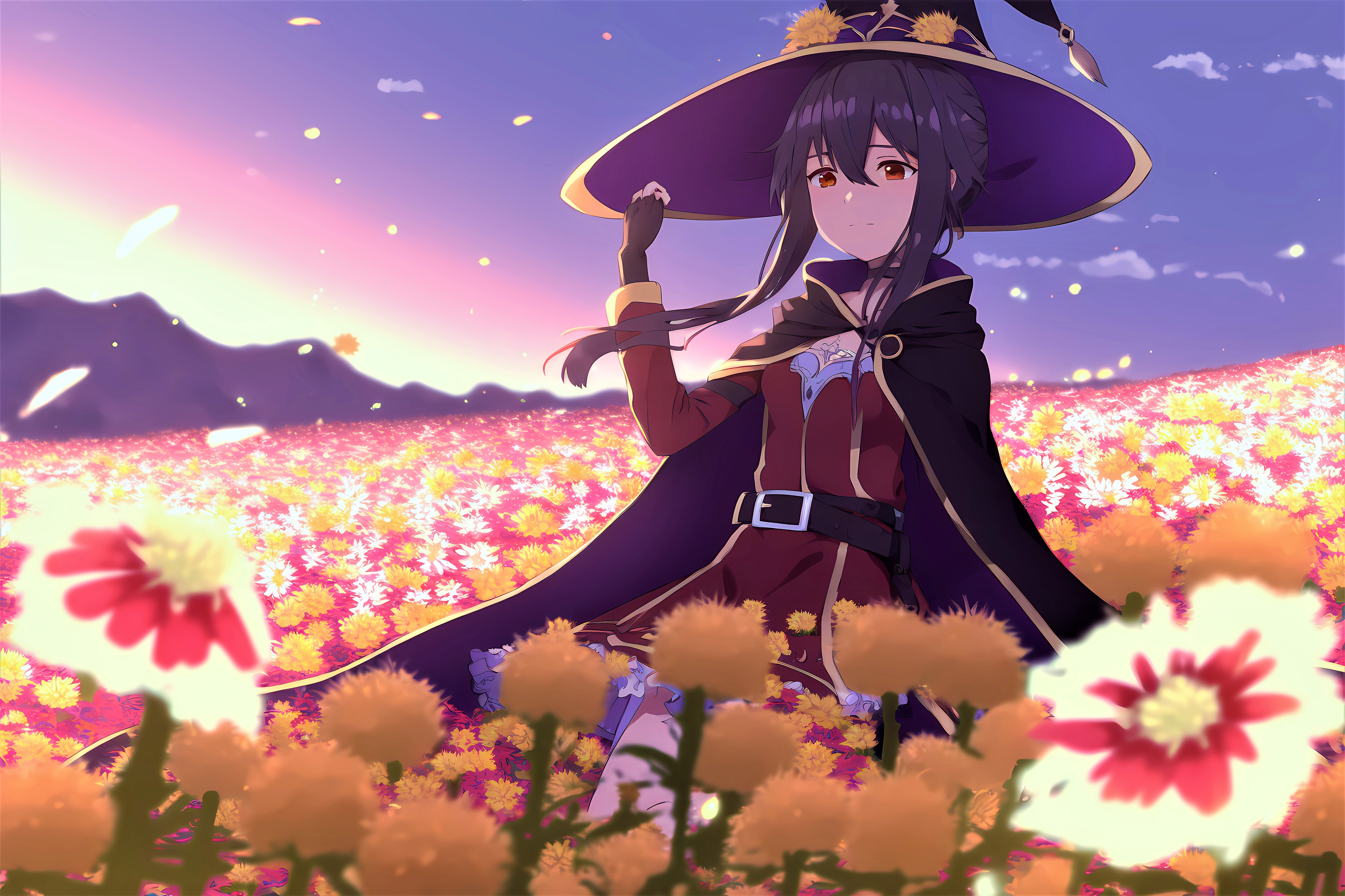 Wallpapers wallpaper konosuba megumin flower field witch hat magician ...