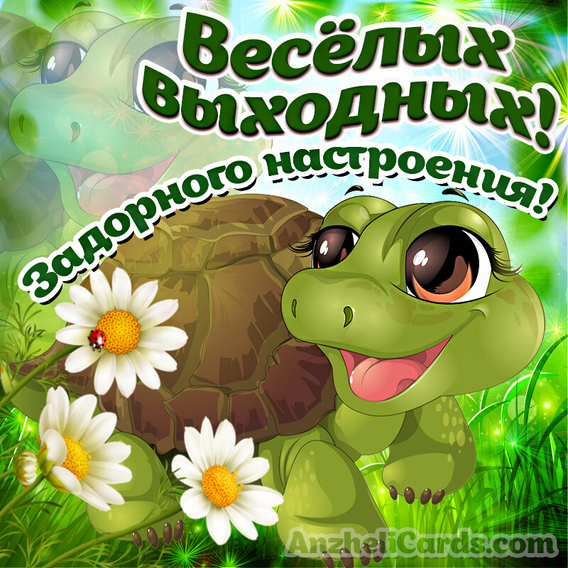 Turtle wishes you a fun weekend · free postcard from a101877c-726b-4e98 ...