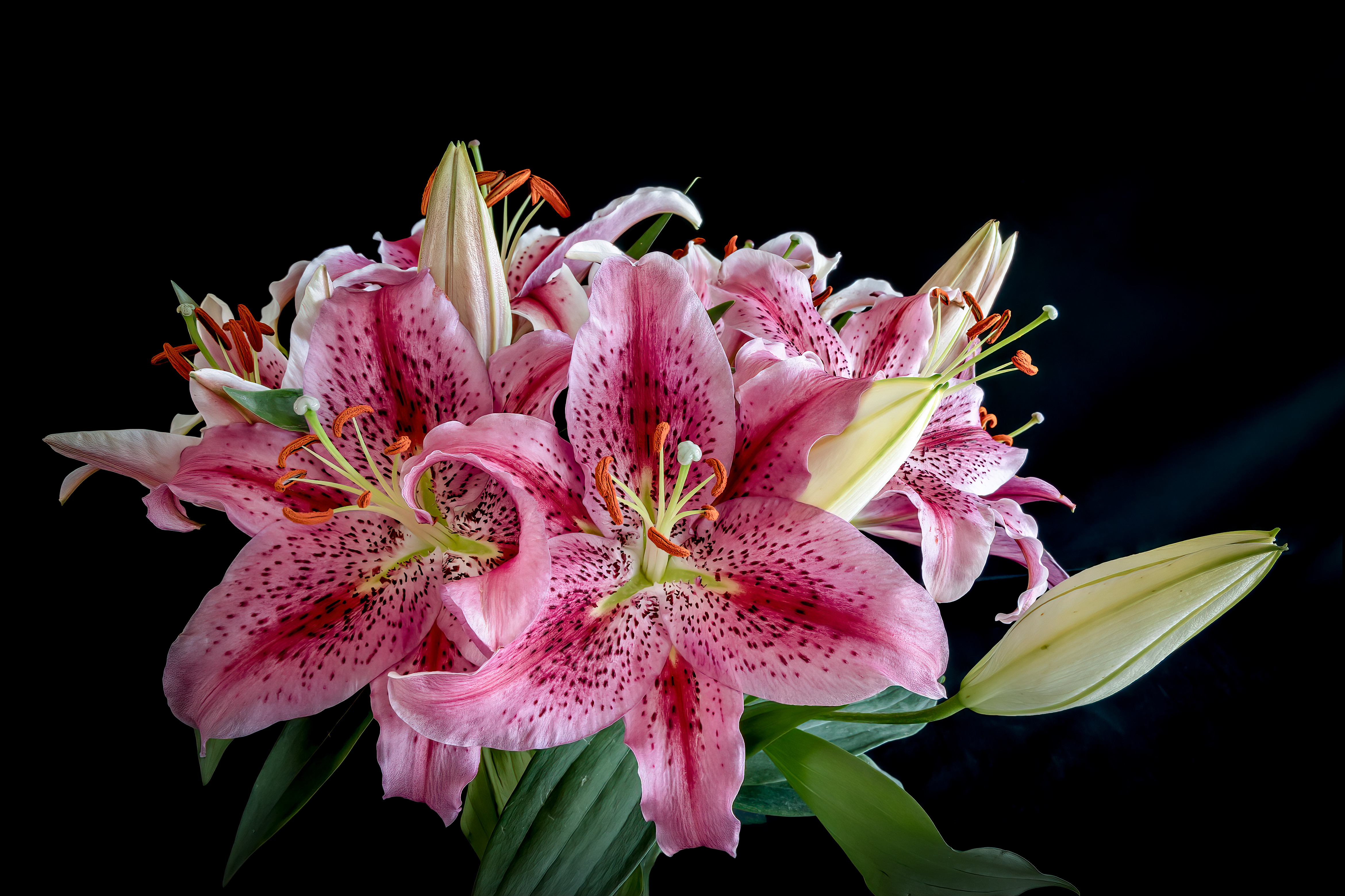 Wallpapers lilies bouquet pink flowers from 3217864 - desktop images ...