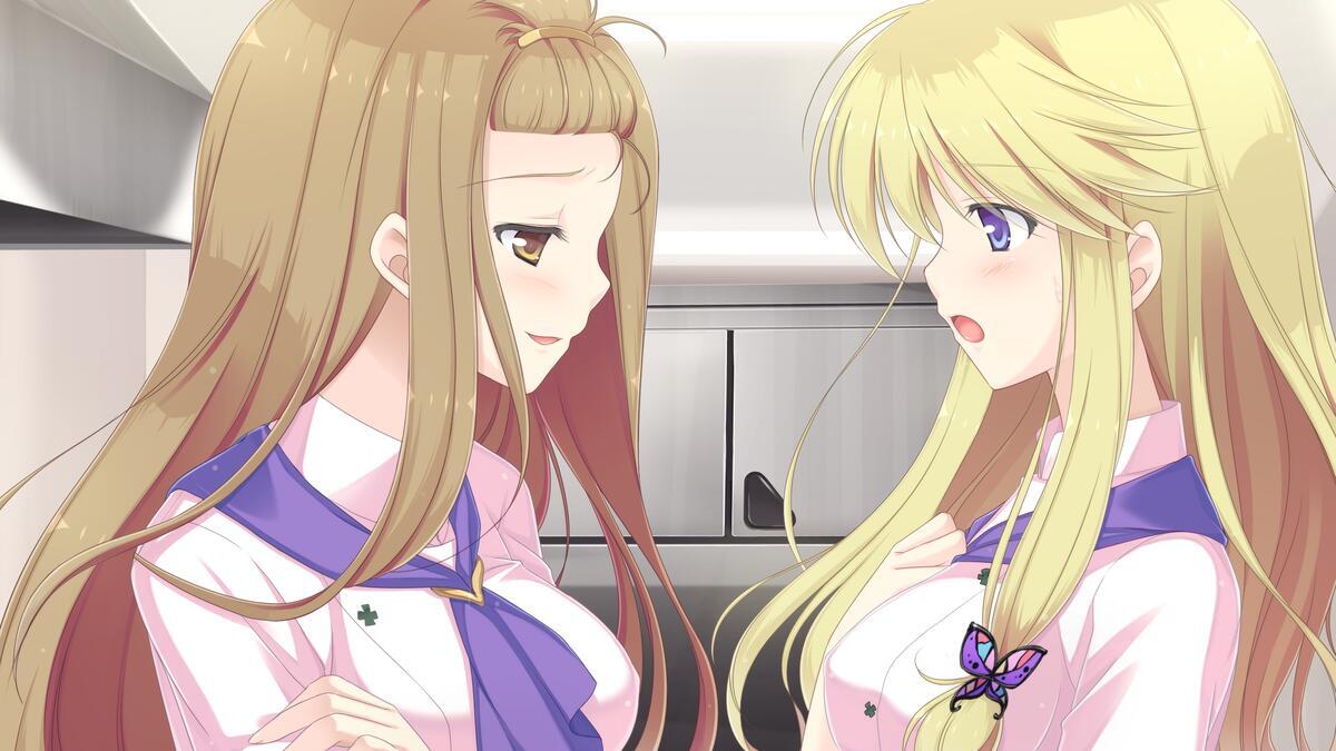 Wallpapers Illustration Anime Hair Mizu No Miyako No Patisserie Girls