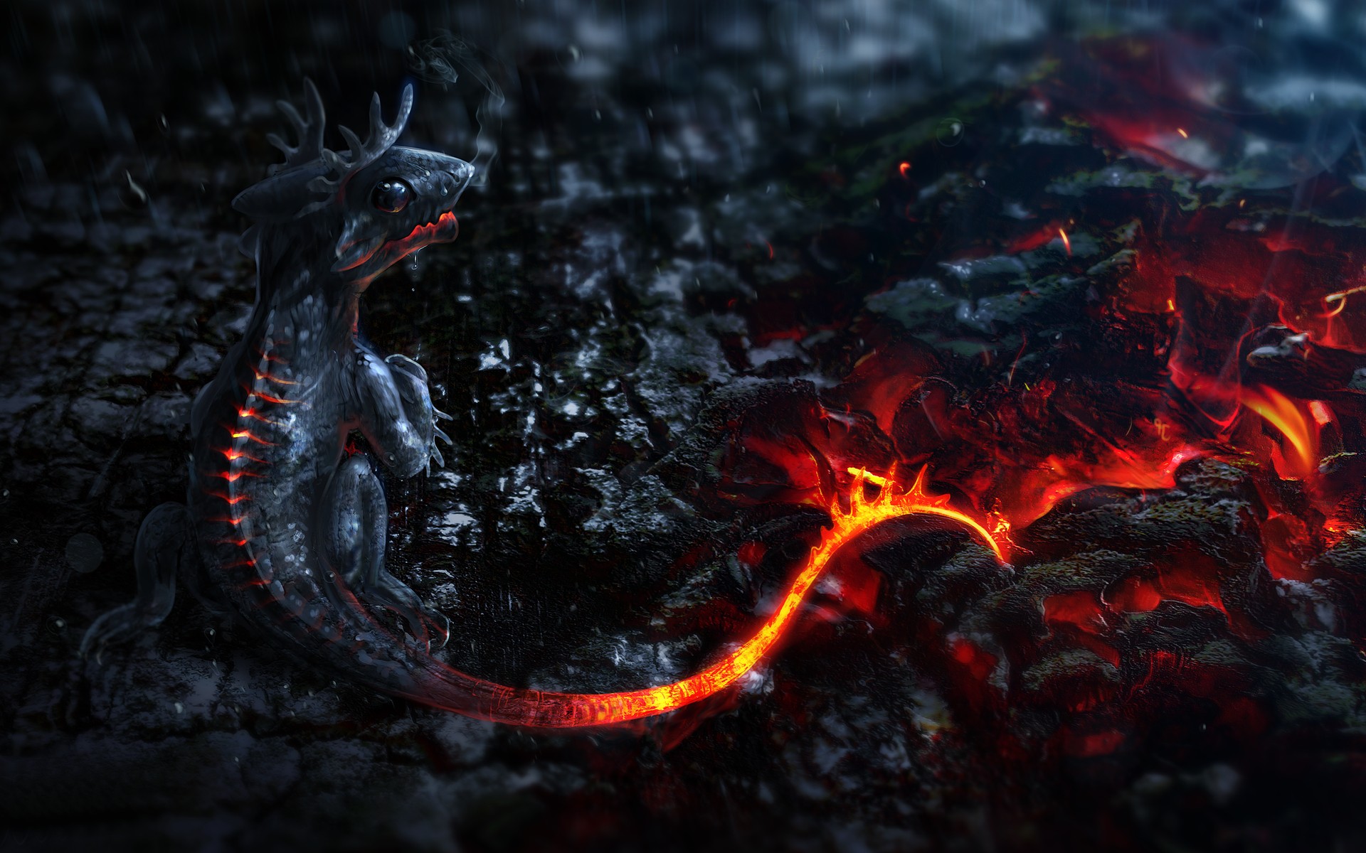 A lizard running through the lava · 1440x2560 QHD free photo from ...