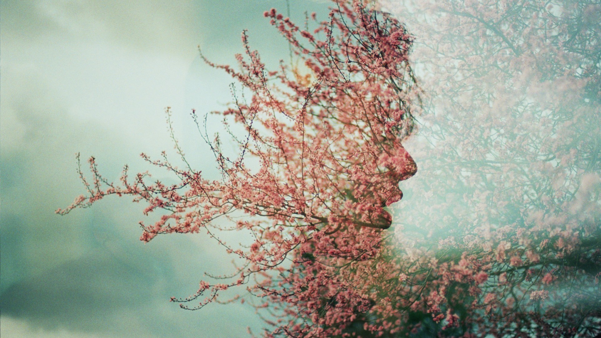 Wallpapers flowers flora face 2560x1440 QHD & WQHD (16:9) from ...