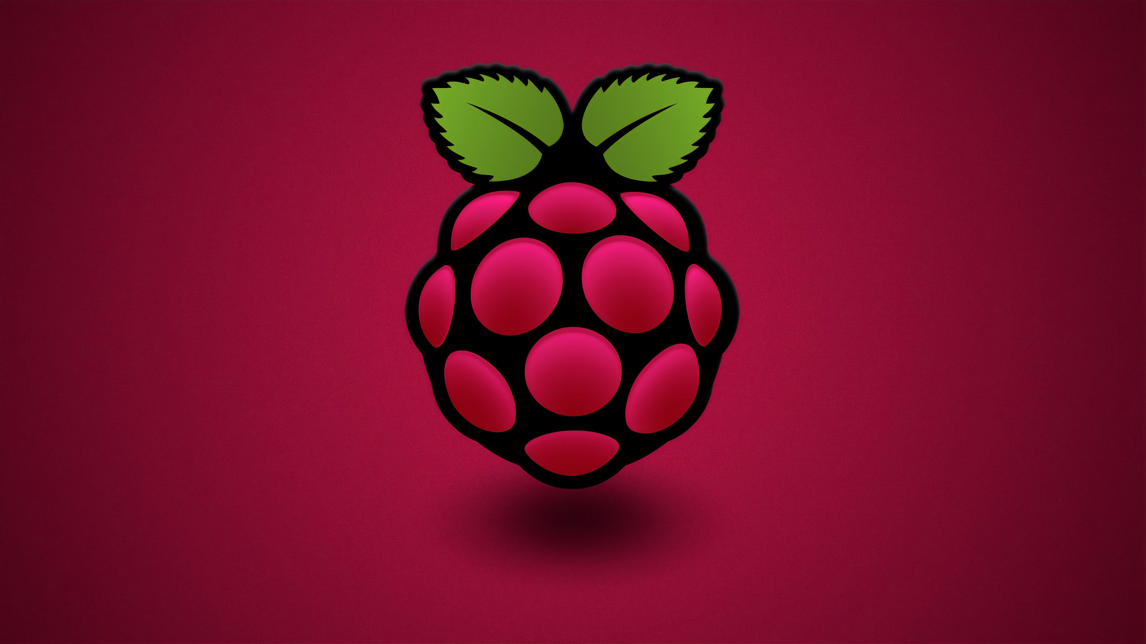 The raspberry pi logo · 2560x1440 QHD & WQHD (16:9) free photo from ...
