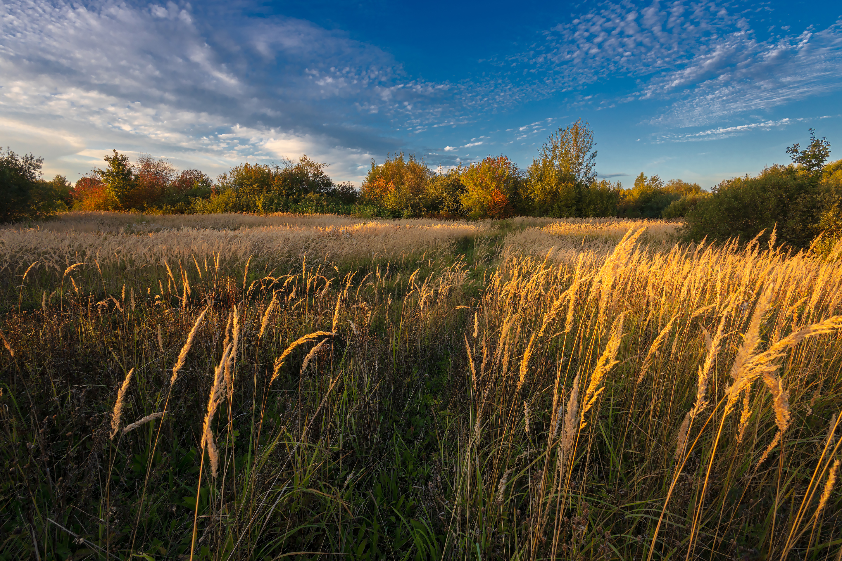 September Landscape · 1920x1080 Full HD free photo from denisark ...