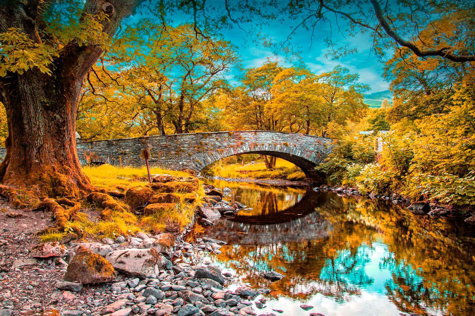 Autumn park with a bridge over a stream · 1366x768 free photo from ...