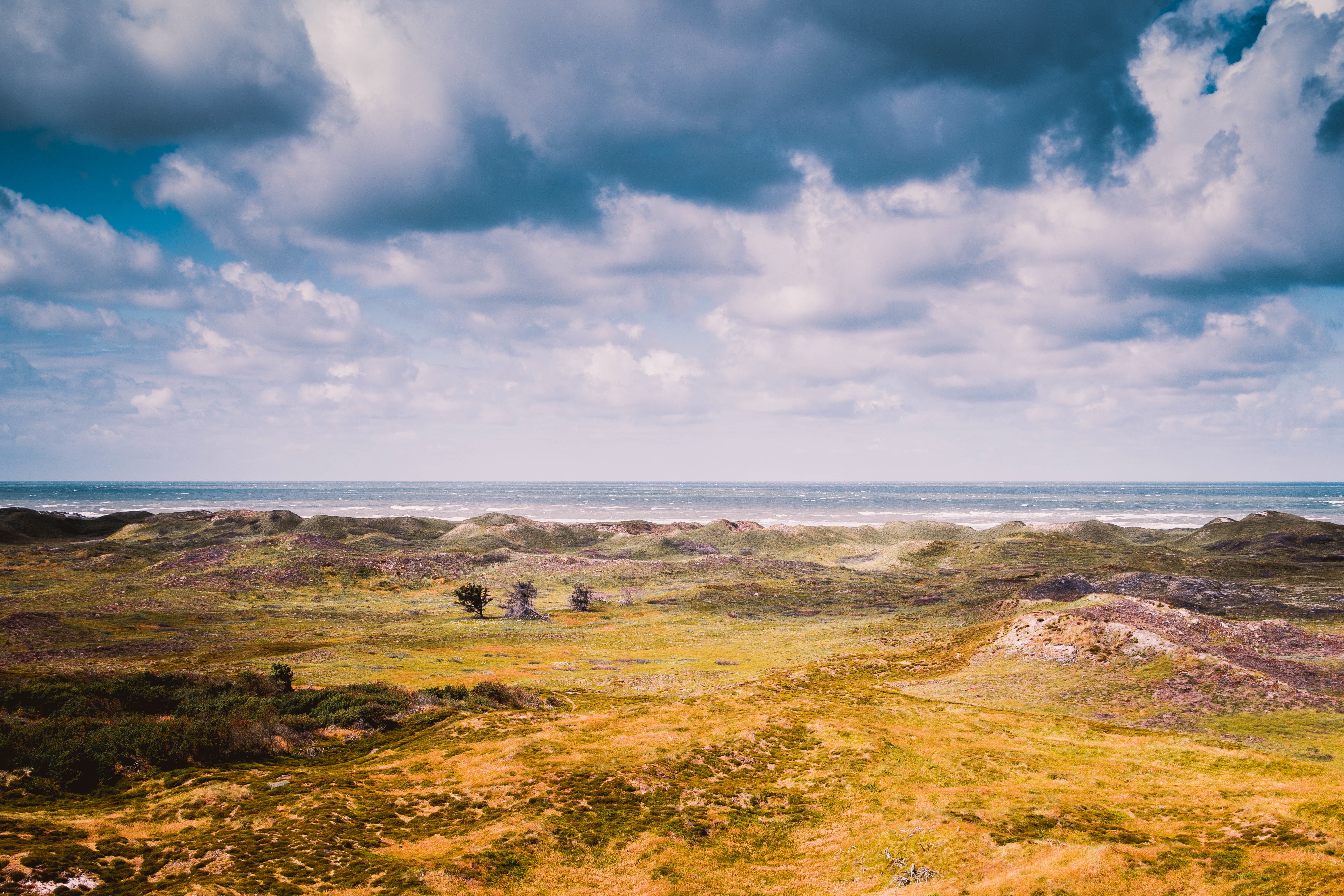 The Great Steppe by the Ocean · 1920x1080 Full HD free photo from uaha ...
