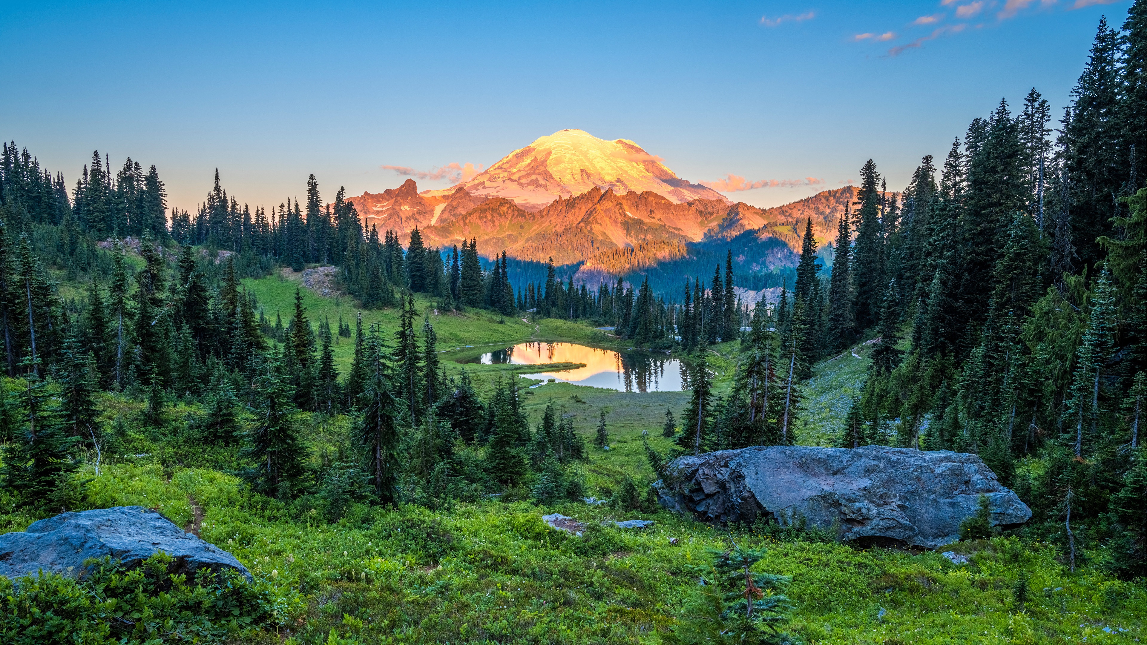 Beautiful scenery in the woods of the usa · free photo from skywolfx ...