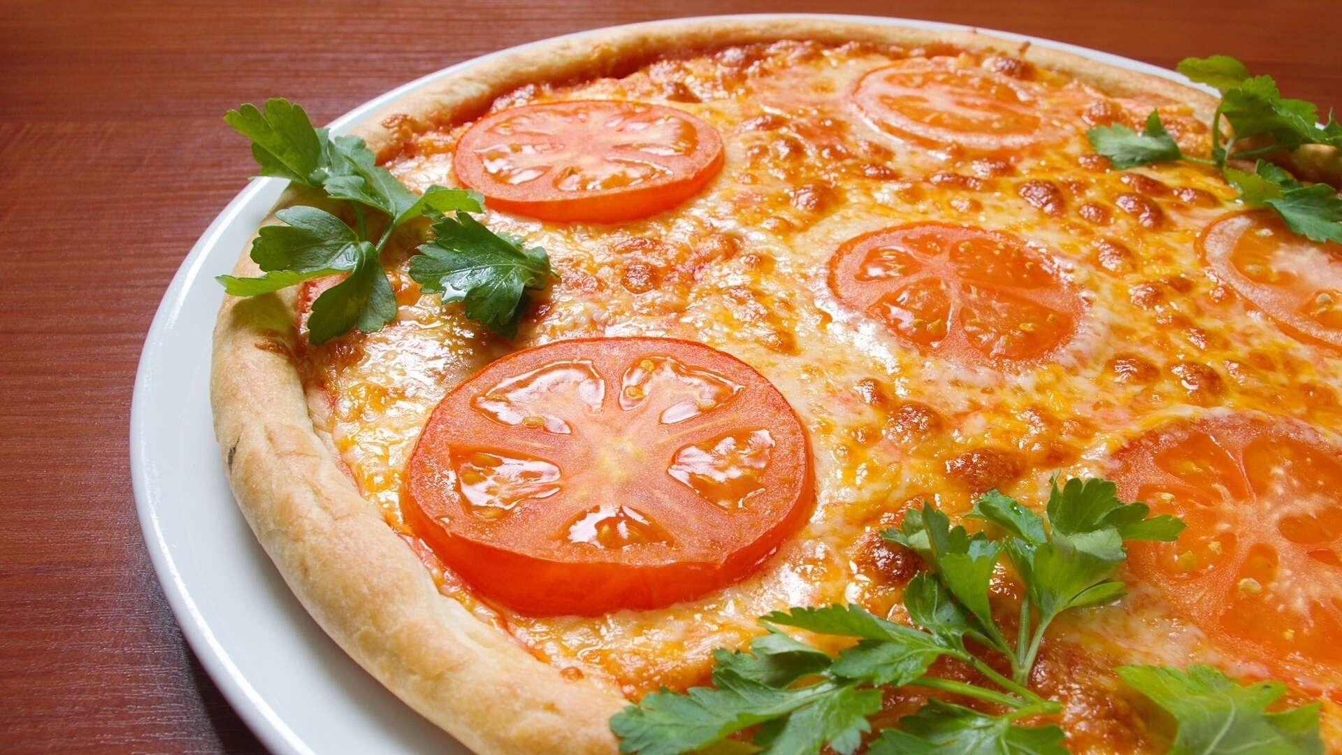 Wallpapers food cheese fish pizza breakfast 2560x1440 QHD & WQHD (16:9 ...