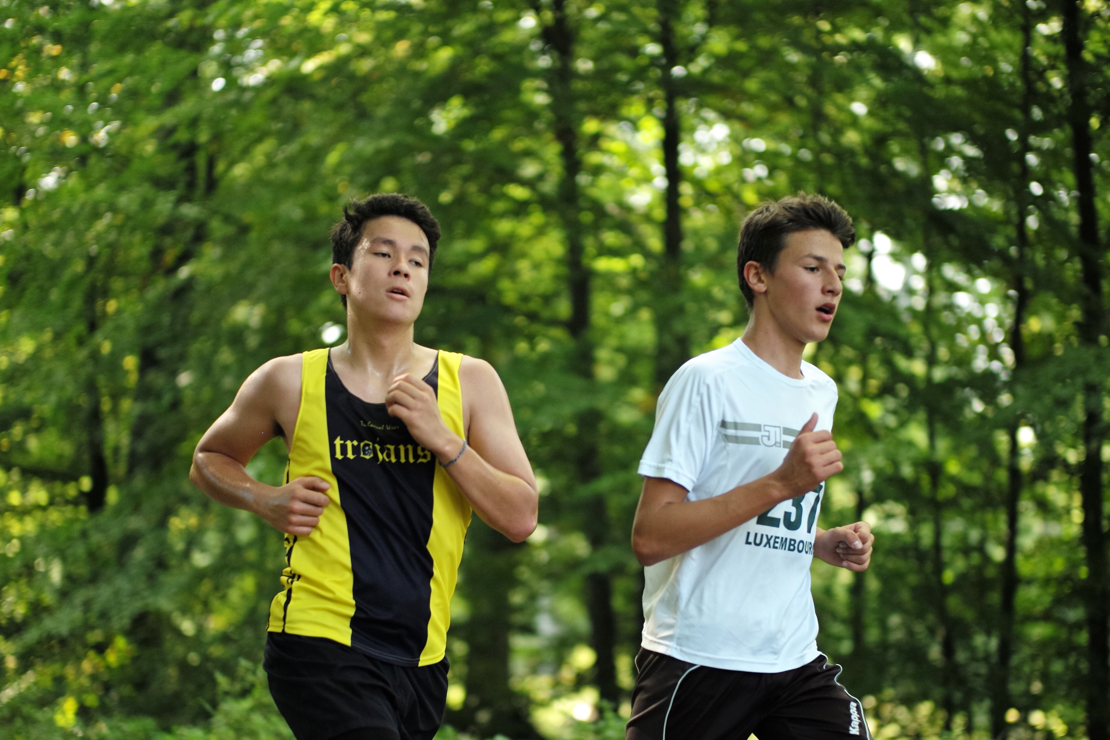 Wallpapers person boke running run country from virtual - desktop images and screensavers