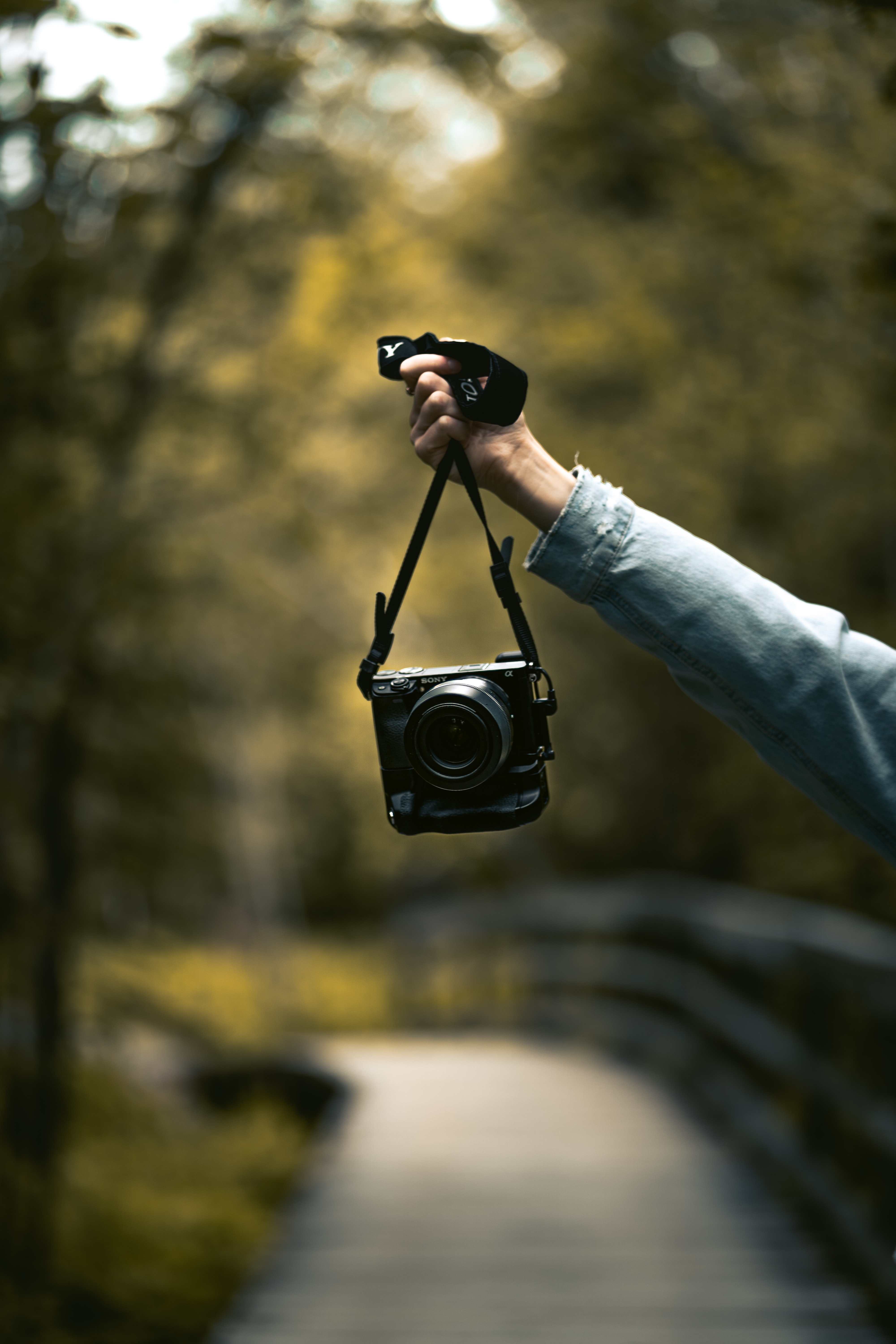 Wallpapers holding boke photography Wallpaper Sony Camera flowers from arashilkis - desktop ...