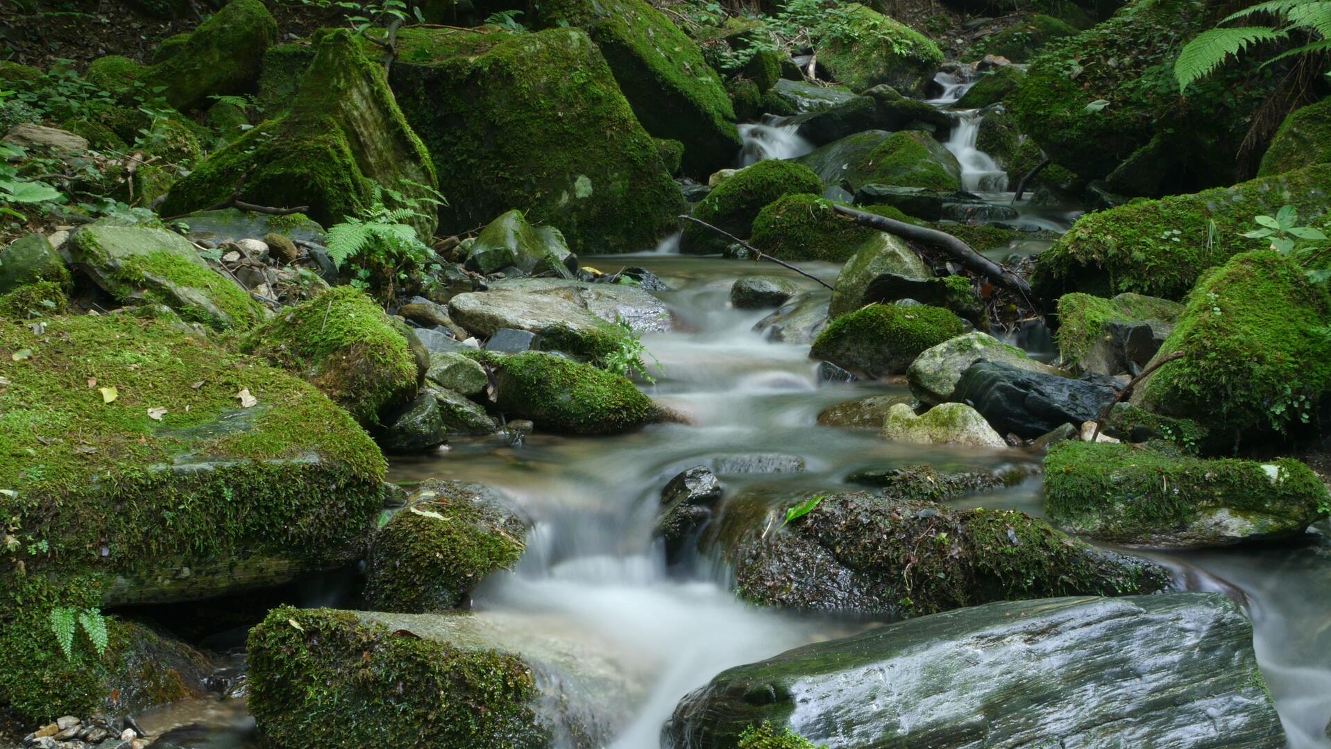 Обои водопад река тропический лес 1920x1080 Full HD от bradeya ... Обои водопад река тропический лес 1920x1080 Full HD от bradeya ...