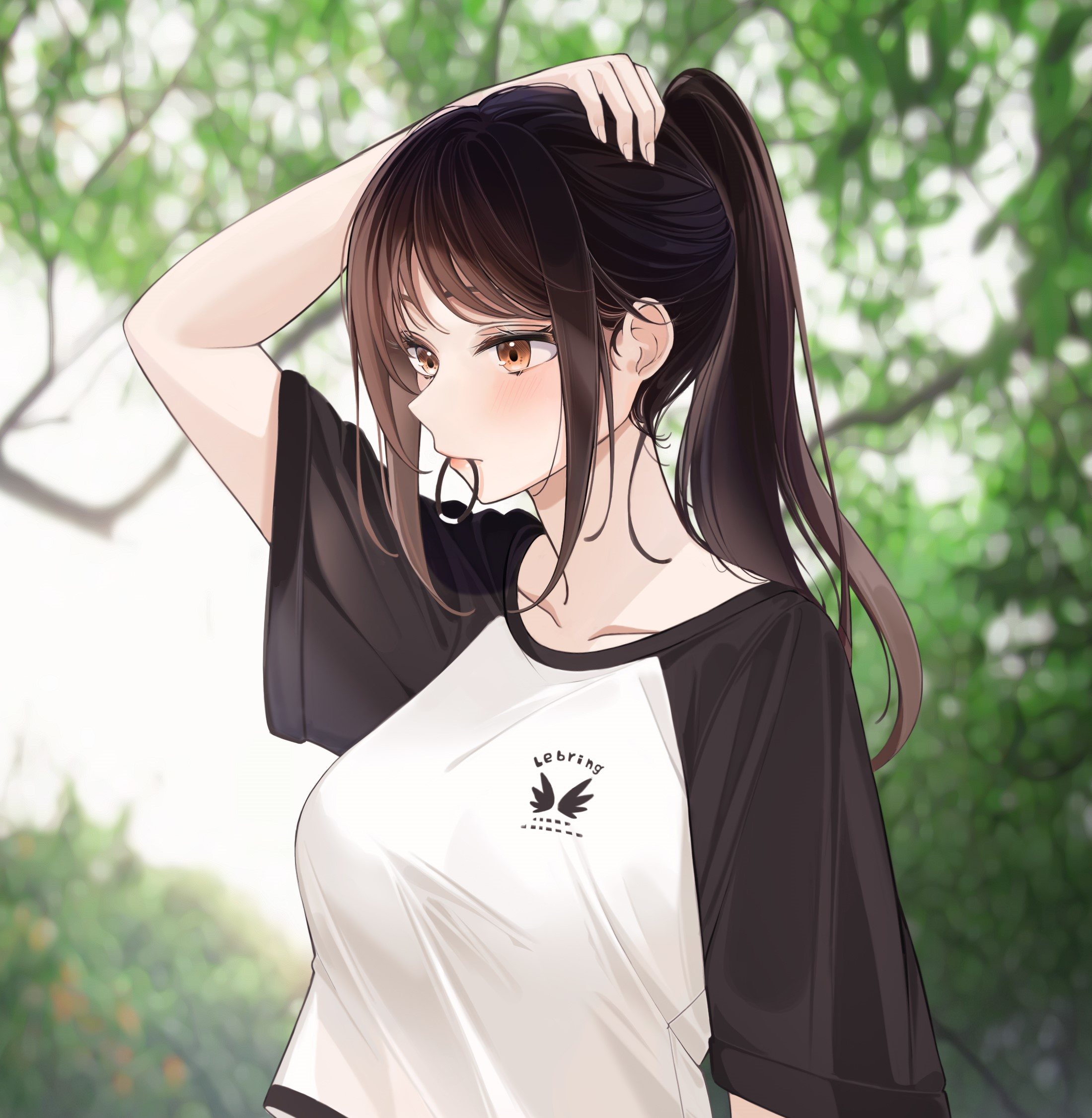 Chibi Girl With Ponytail