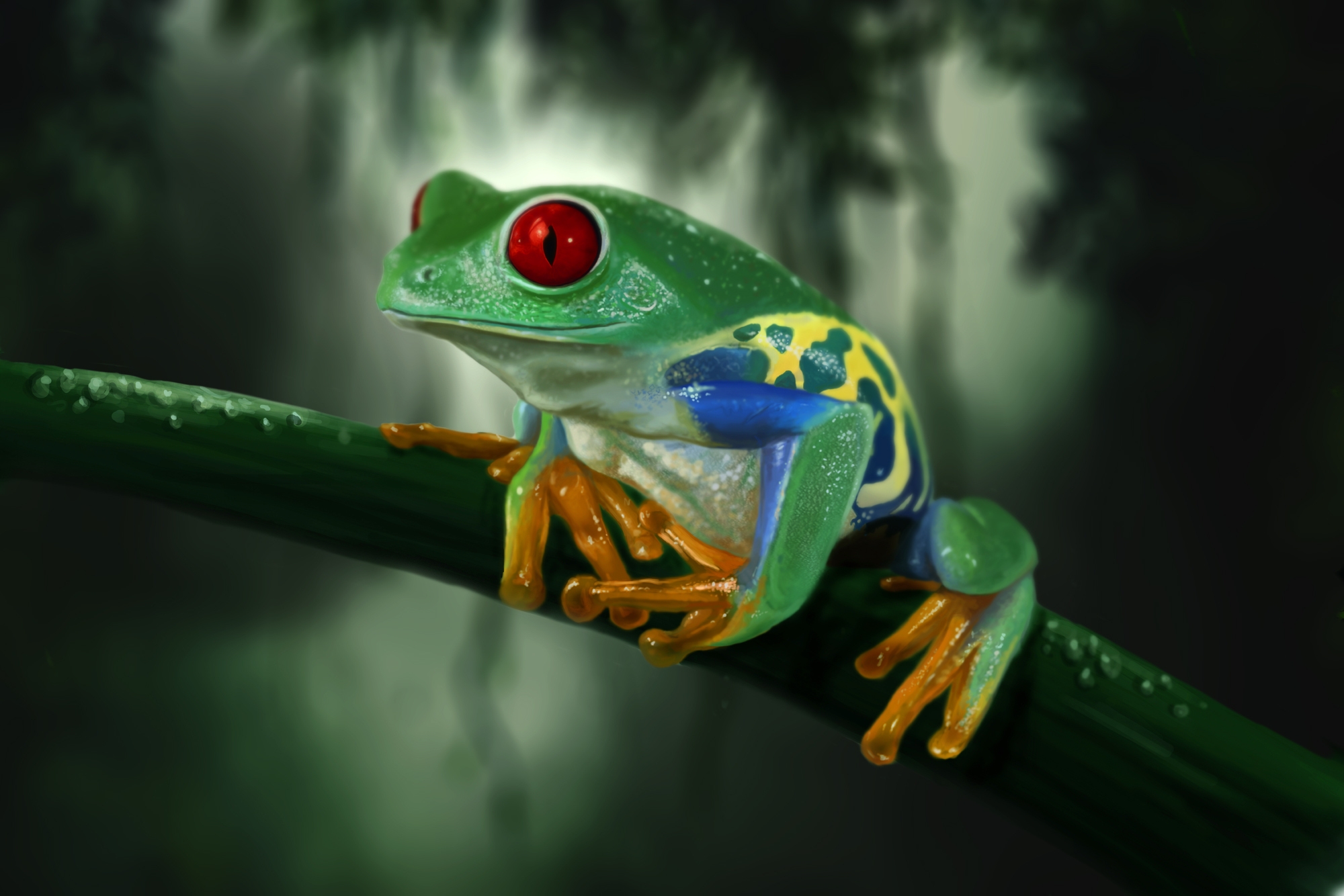 Wallpapers frog branch colorful Wallpaper animals from godlike ...