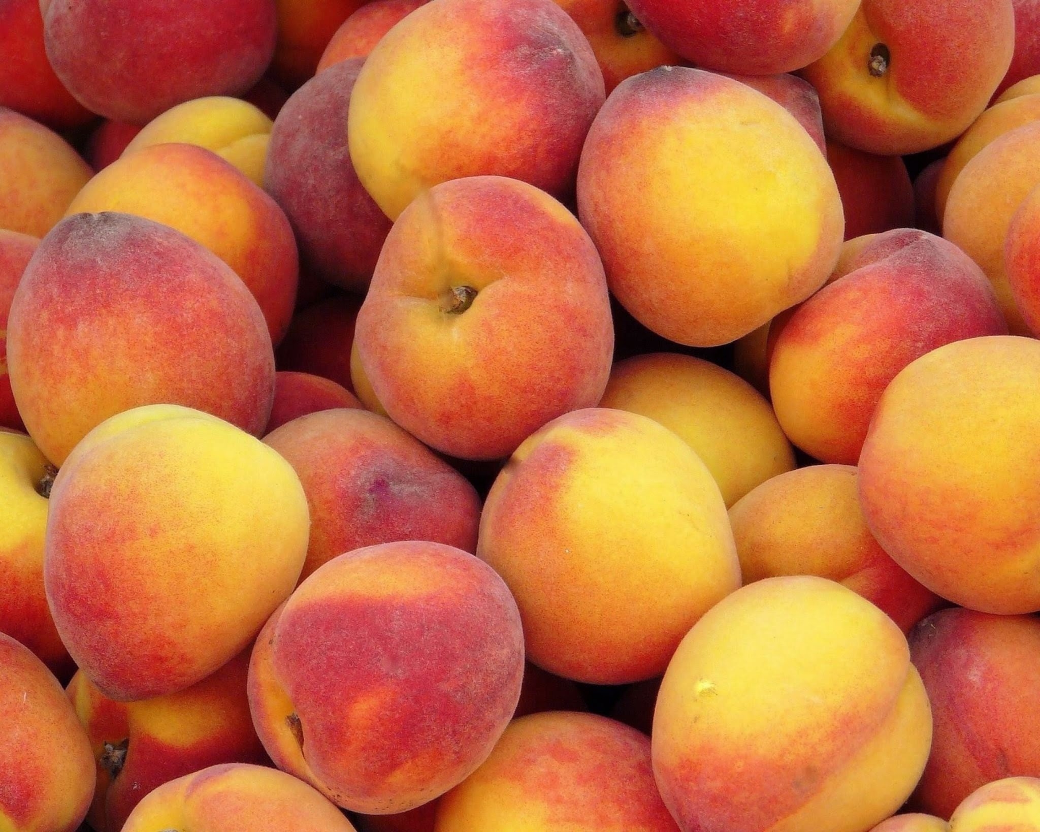 Ripe peaches · 1920x1080 Full HD free photo from bradeya - pictures and ...
